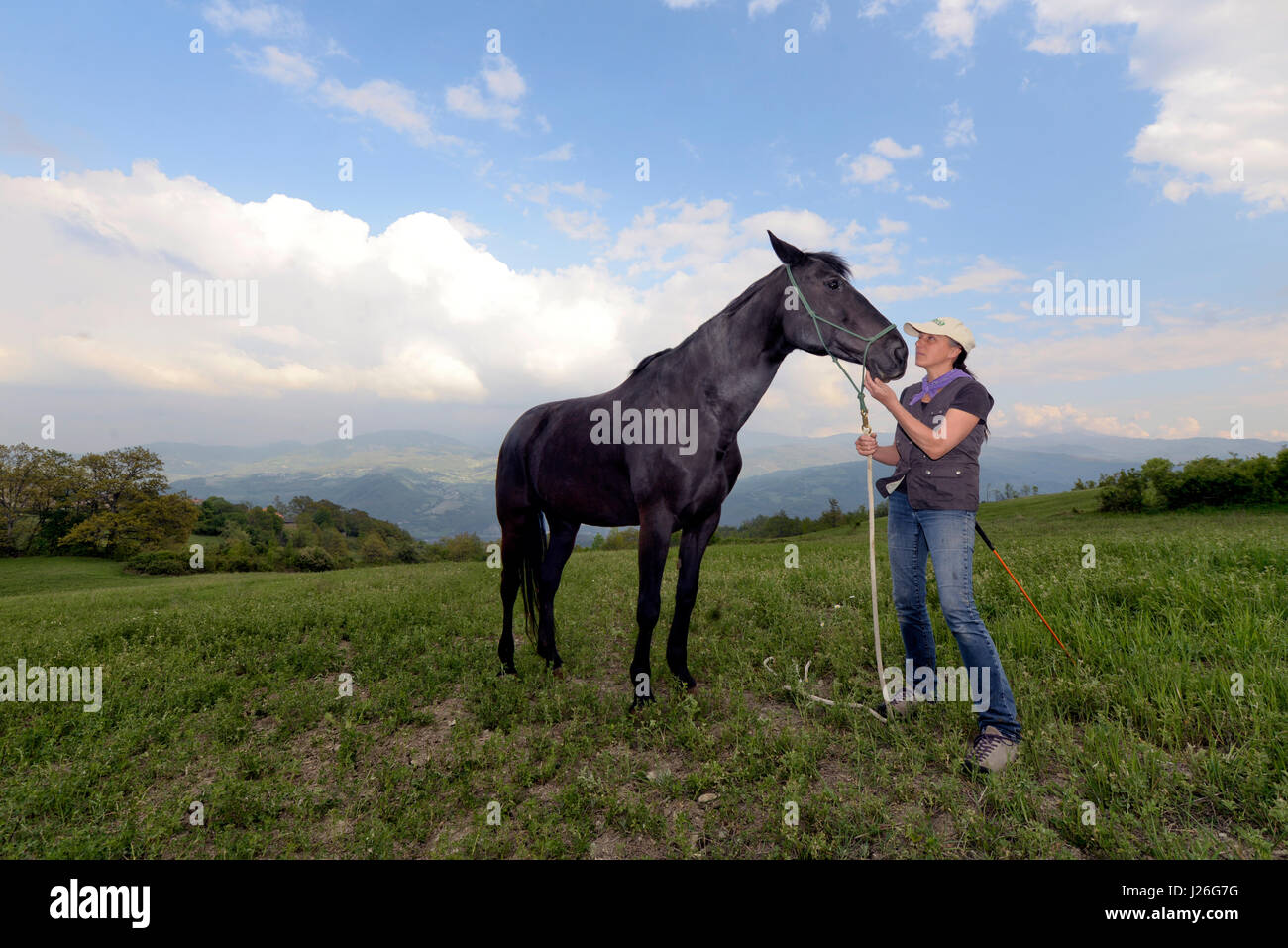 Horse riding in meadows hi-res stock photography and images - Alamy