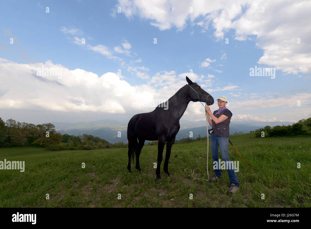 Woman train horse in a meadow Stock Photo - Alamy