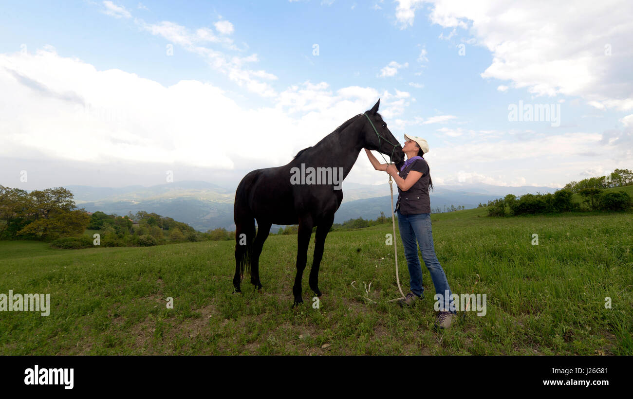 Woman train horse in a meadow Stock Photo - Alamy