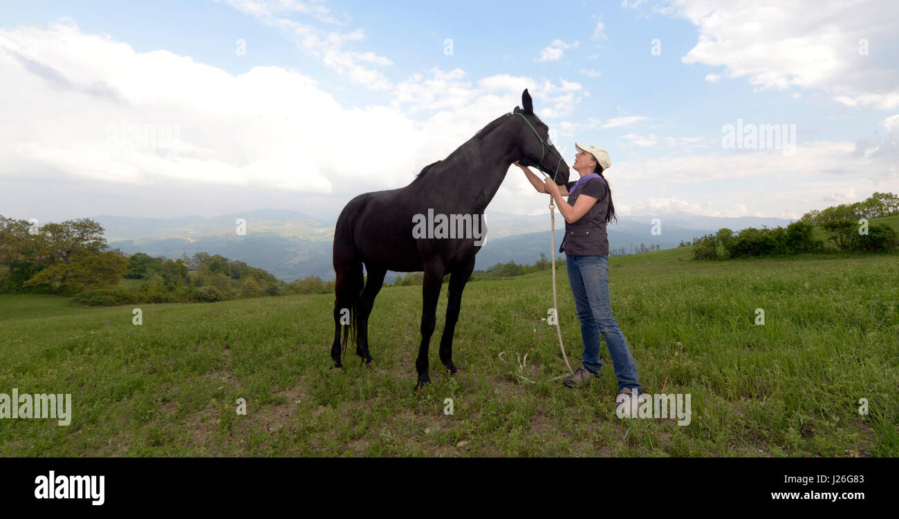 Woman train horse in a meadow Stock Photo - Alamy