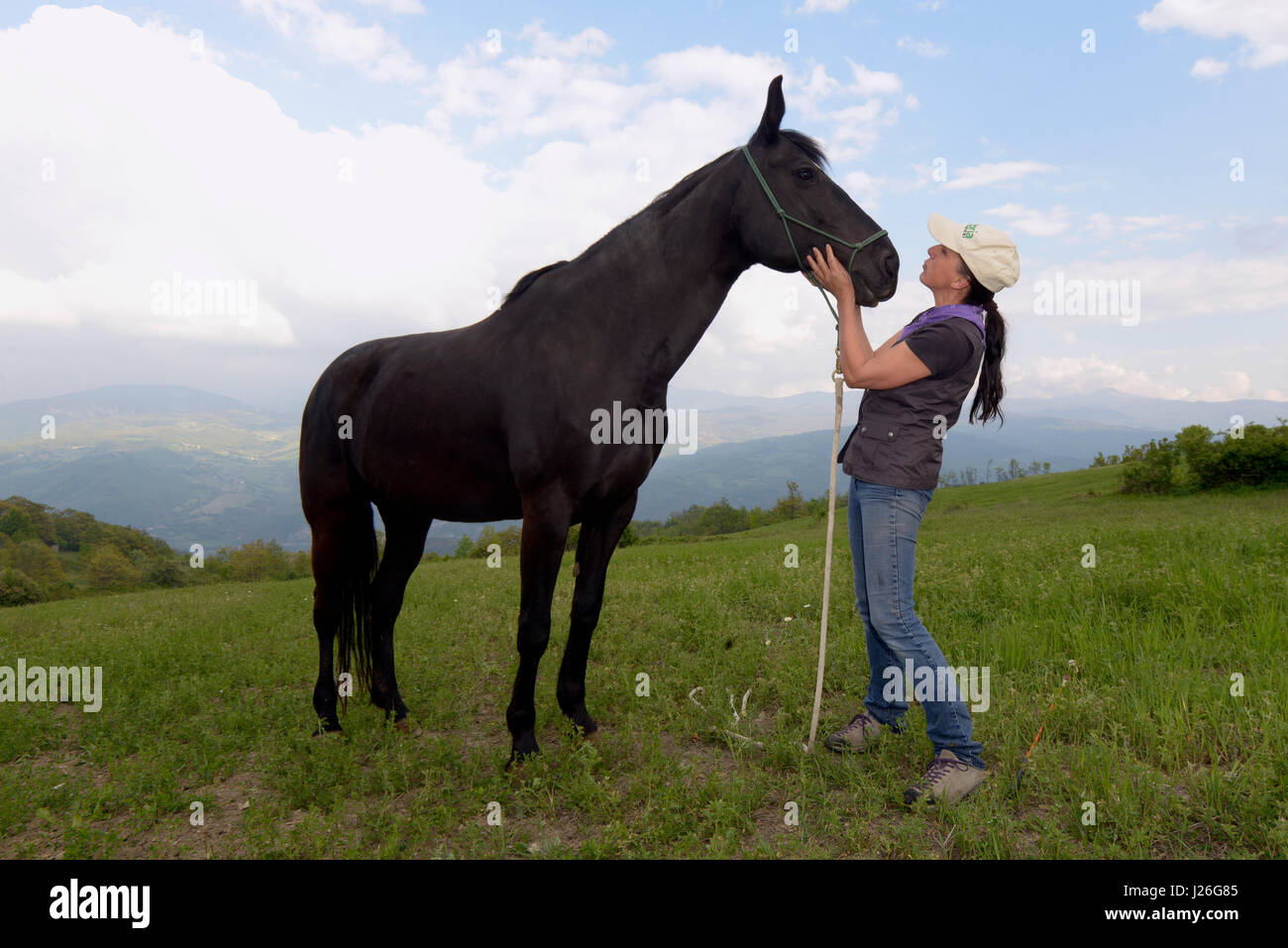 Woman train horse in a meadow Stock Photo - Alamy