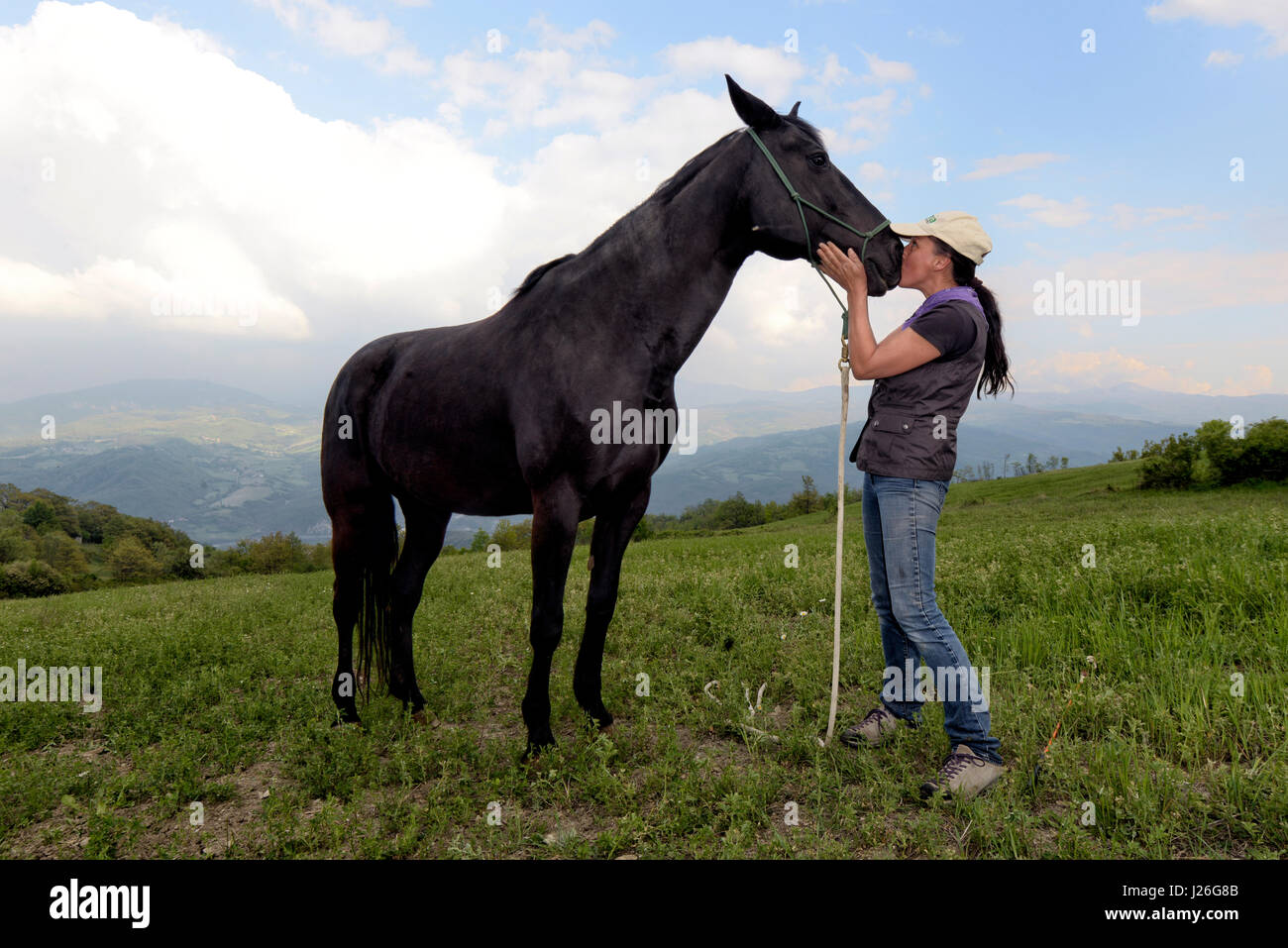 Woman train horse in a meadow Stock Photo - Alamy