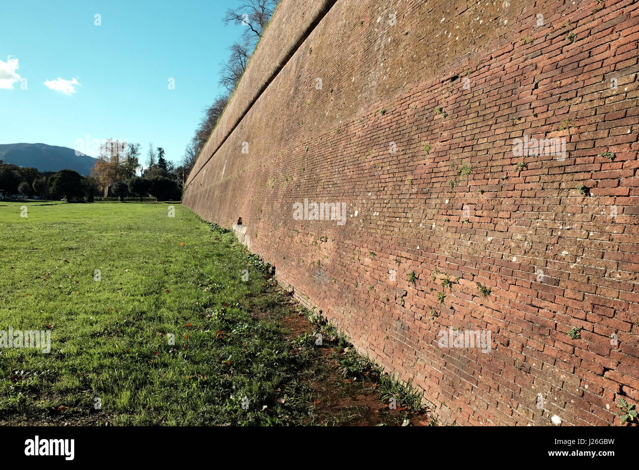 The intact medieval walls of Lucca, Tuscany, Italy, Europe - View out ...