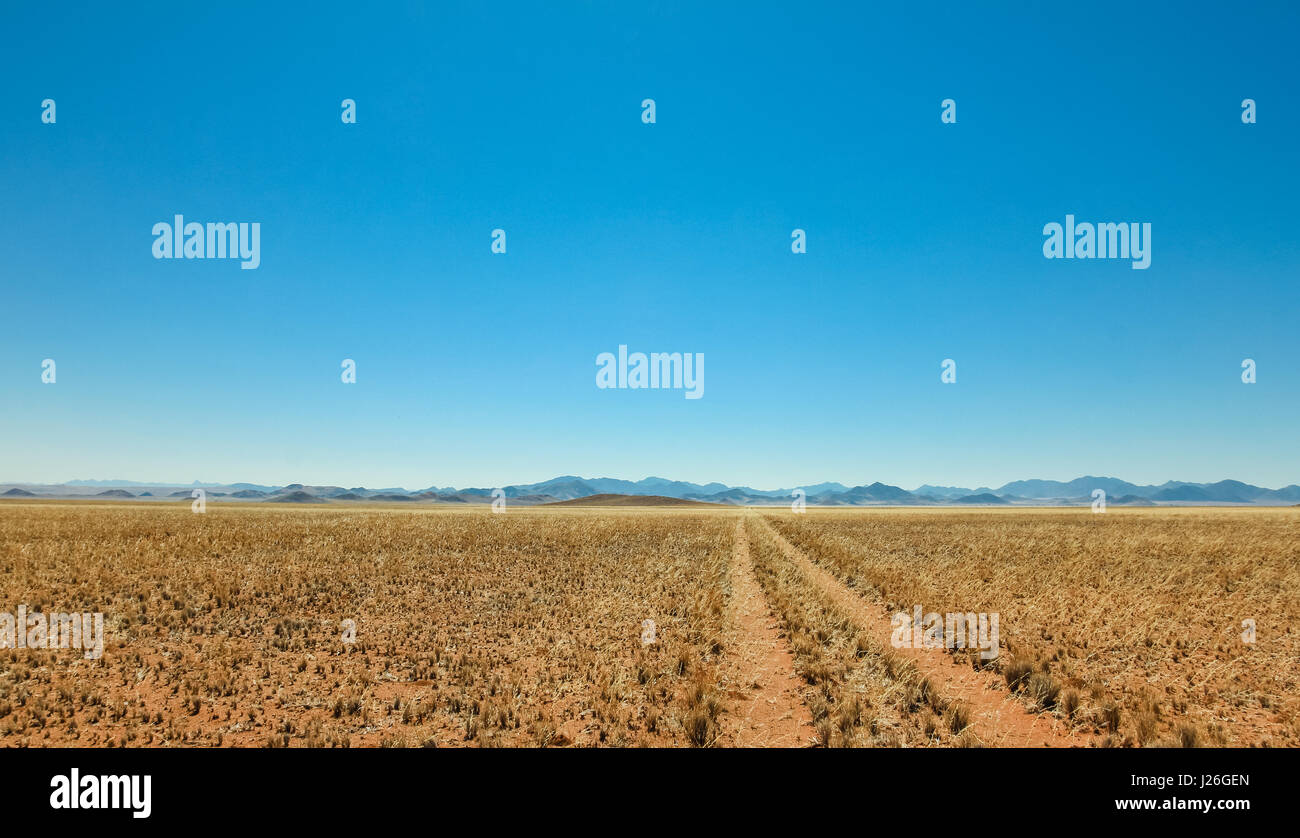 Straight desert dirt road track passes a grassland towards mountains ...