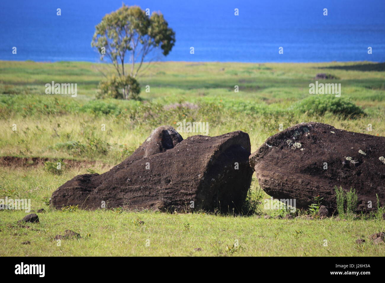 Maoi hi-res stock photography and images - Alamy