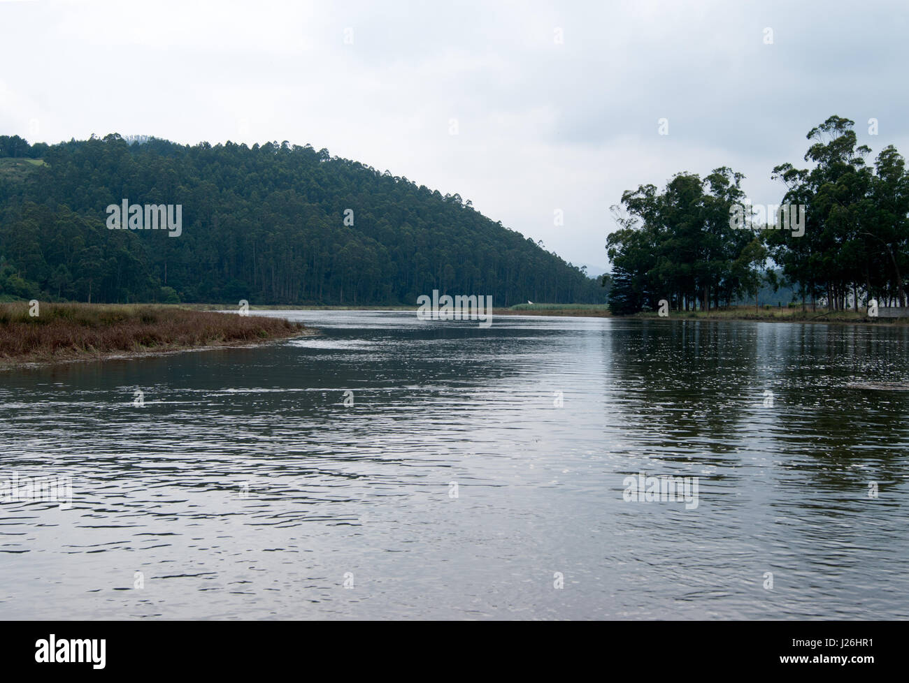 nice view of river background in nature Stock Photo - Alamy