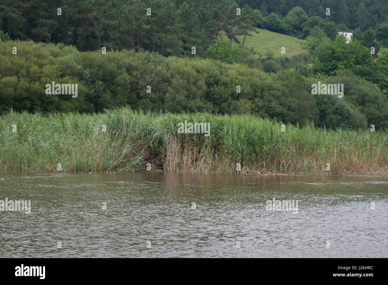 nice view of river background in nature Stock Photo - Alamy