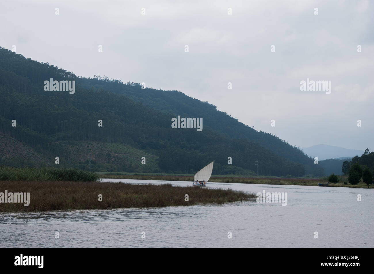 nice view of river background in nature Stock Photo - Alamy