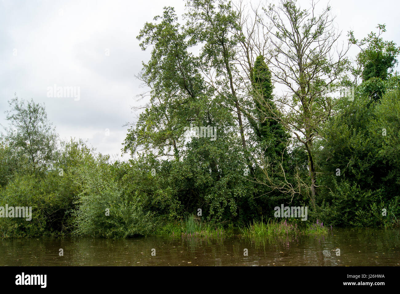 nice view of river background in nature Stock Photo - Alamy