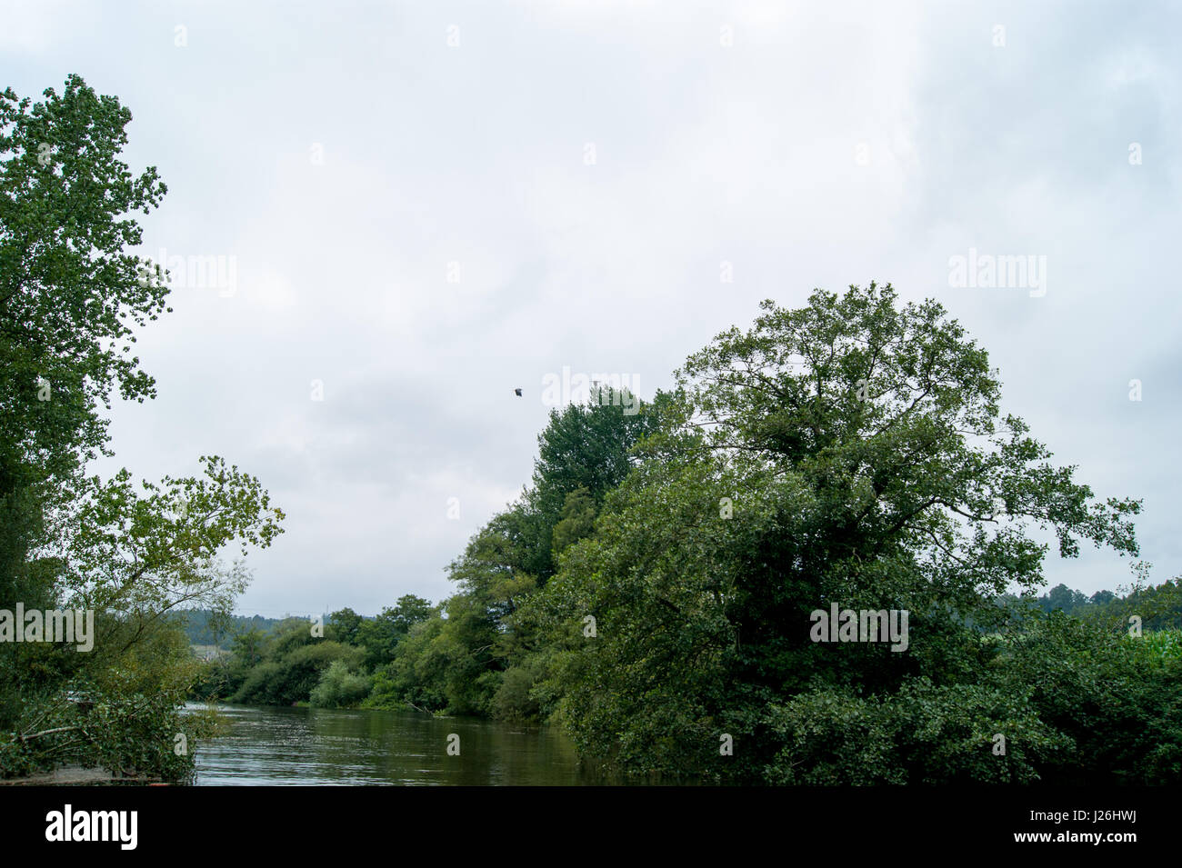 nice view of river background in nature Stock Photo - Alamy