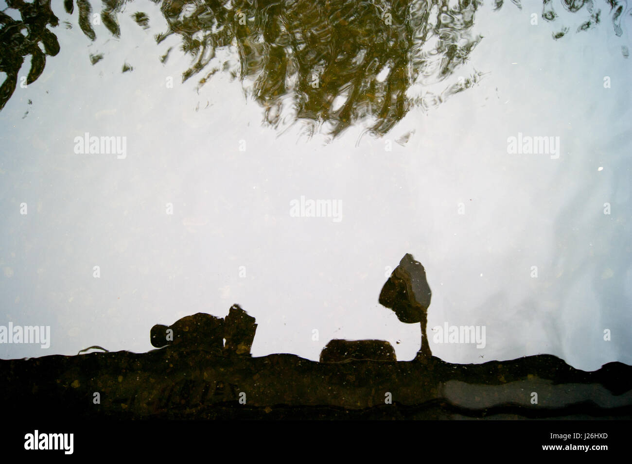 nice view of river background in nature Stock Photo - Alamy