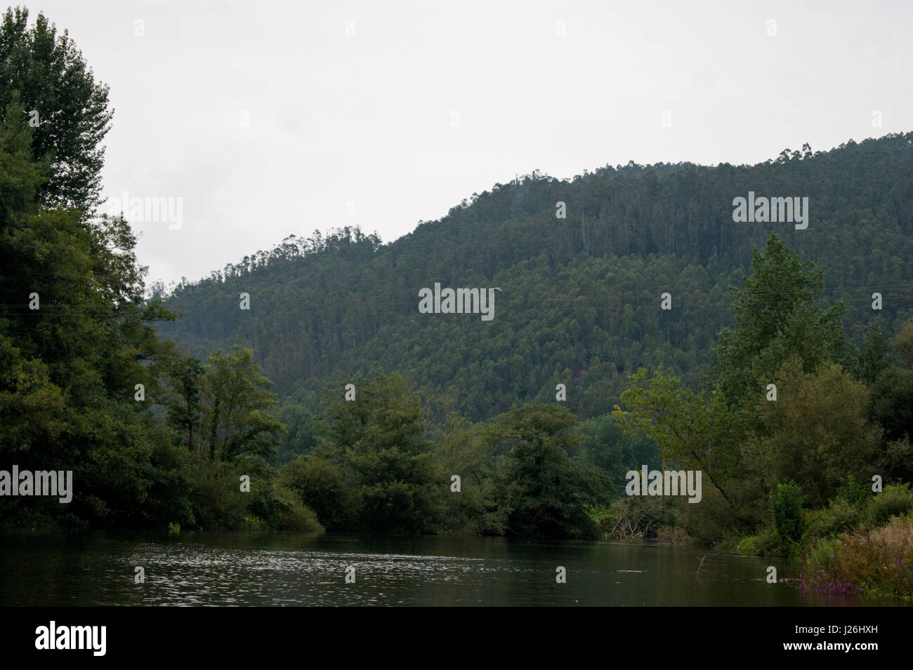 nice view of river background in nature Stock Photo - Alamy