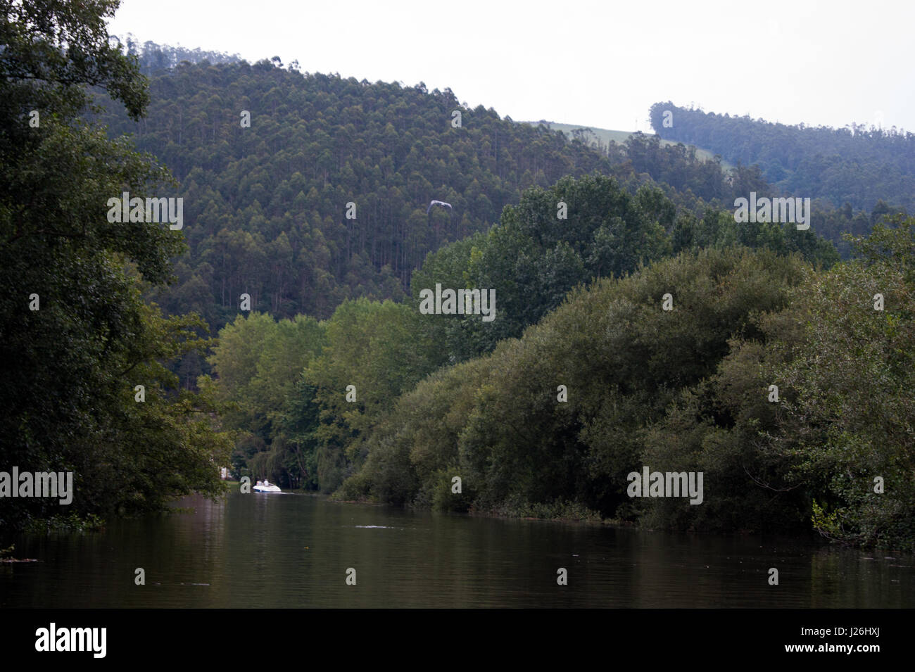 nice view of river background in nature Stock Photo - Alamy
