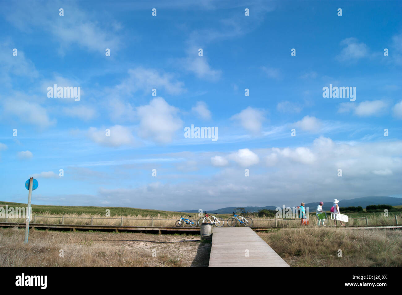path in the country field near beach Stock Photo - Alamy