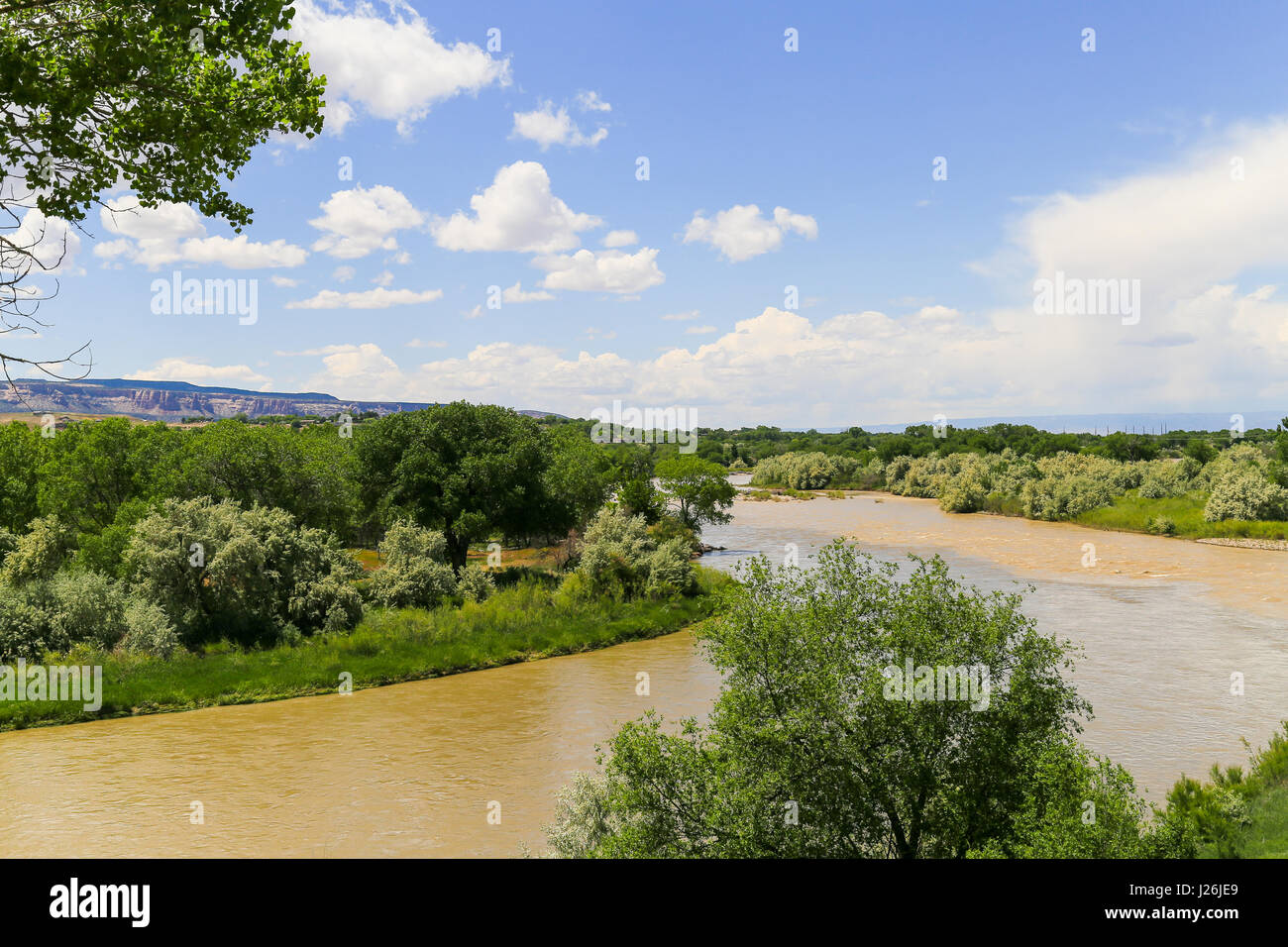 Confluence of Colorado River and Gunnison River in the city of Grand ...