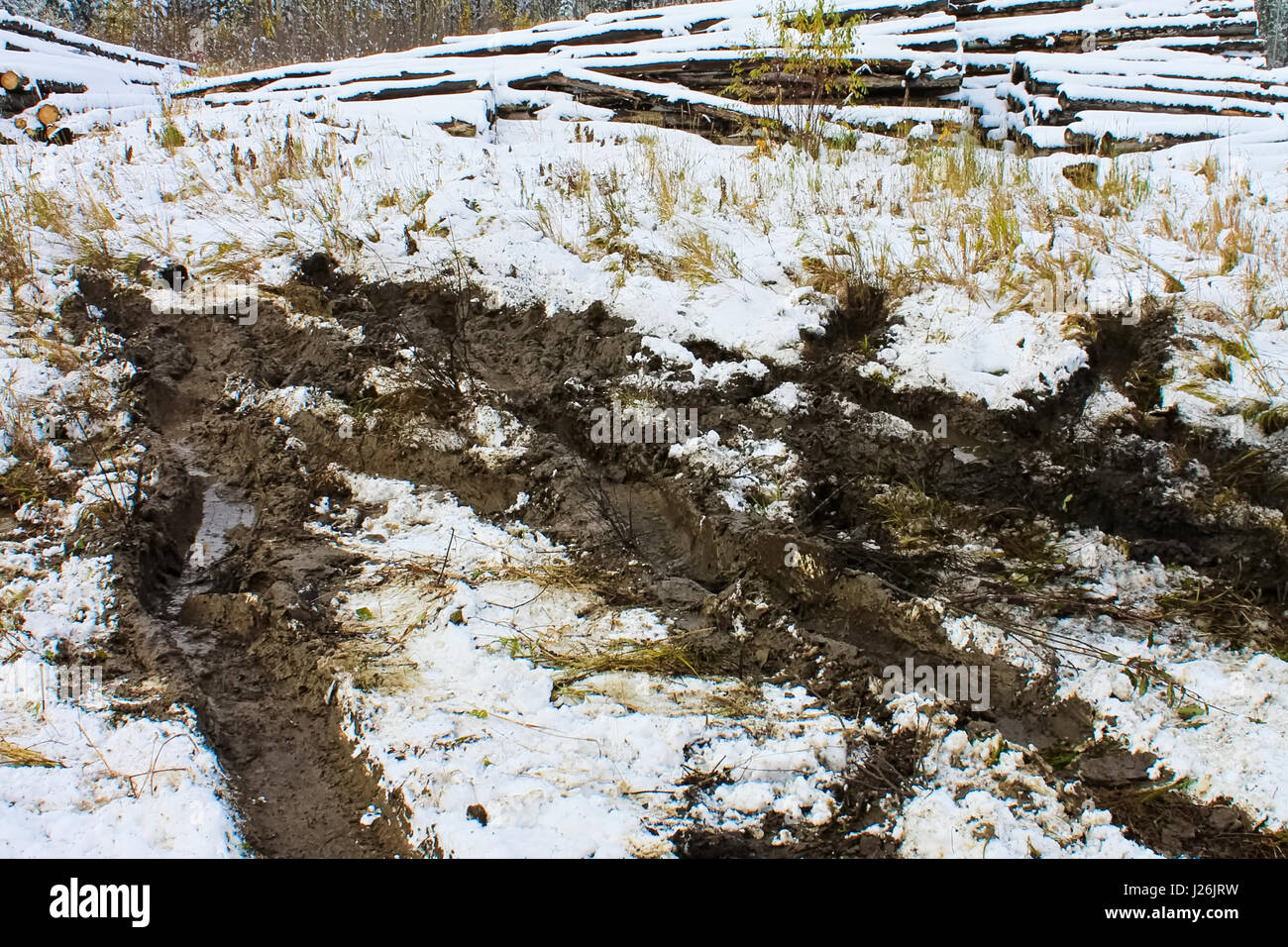 Tracks from a truck that was stuck in the muskeg Stock Photo - Alamy
