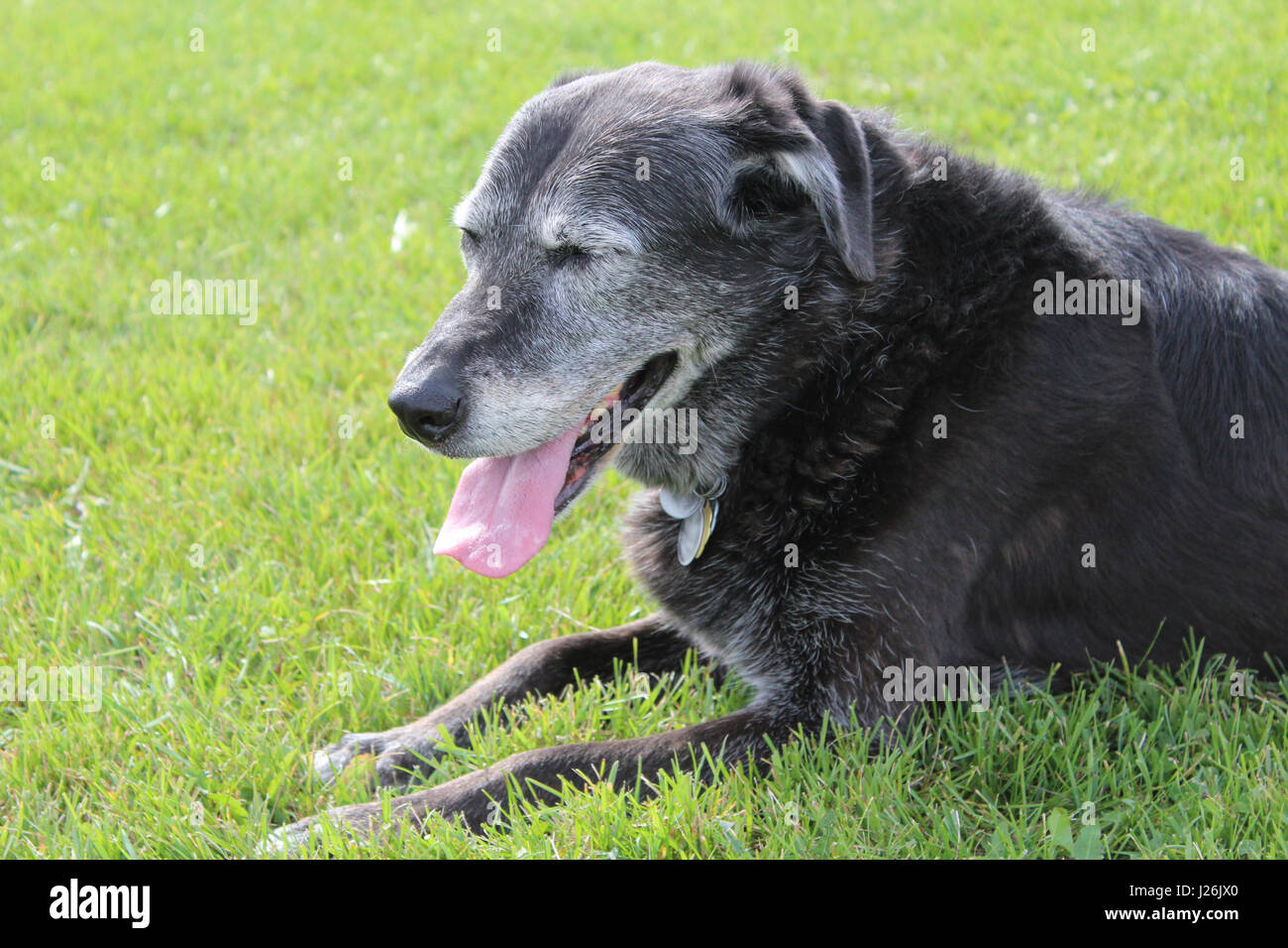 Just Need a Break Stock Photo - Alamy
