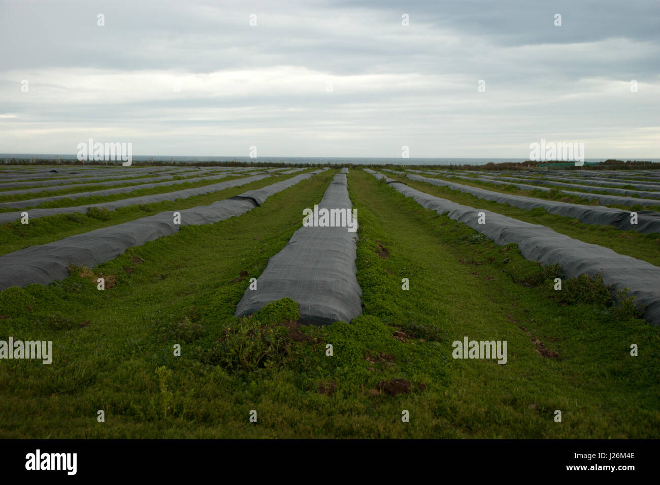 agriculture landscape in north Spain Stock Photo - Alamy