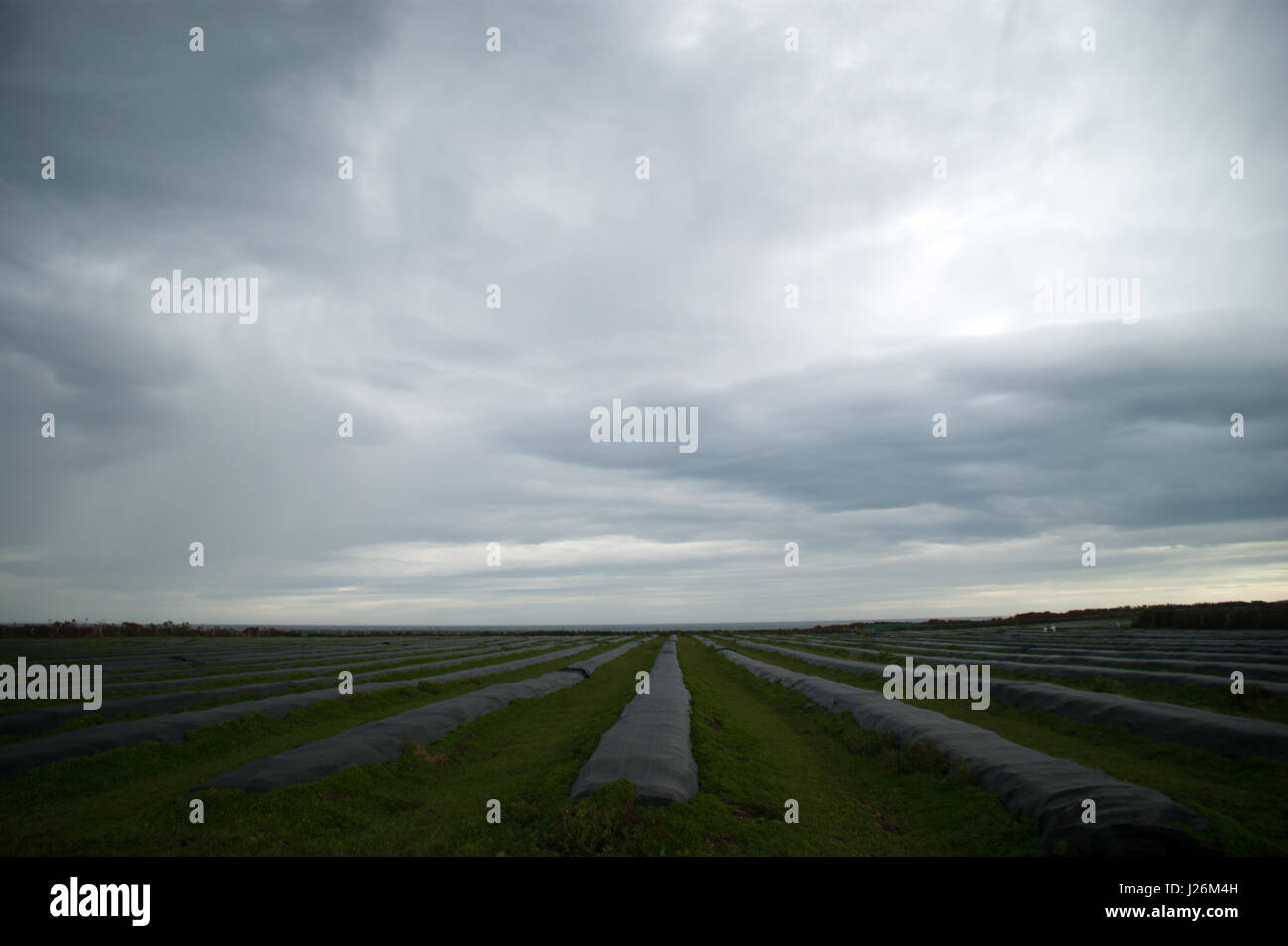 agriculture landscape in north Spain Stock Photo - Alamy