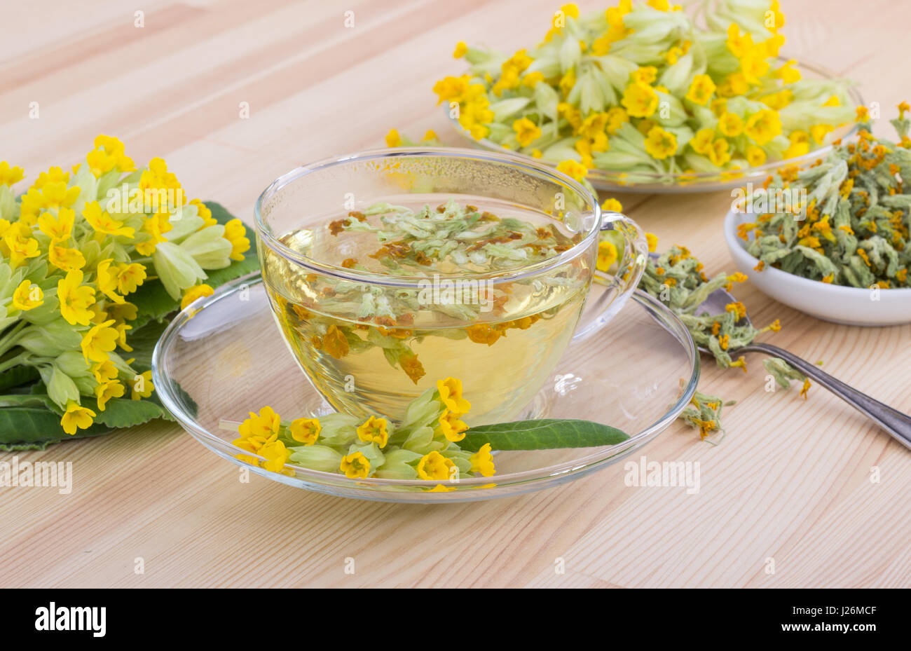 Cowslips, primroses hi-res stock photography and images - Alamy