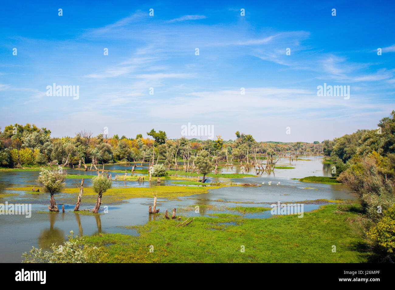 Tamis River High Resolution Stock Photography and Images - Alamy