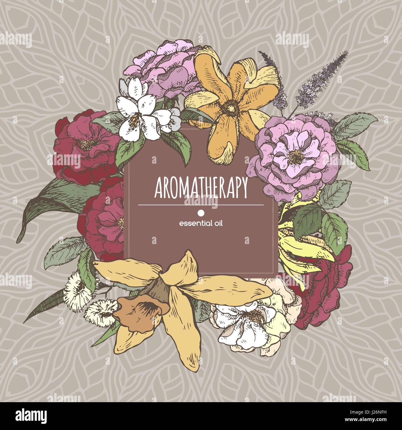 Romantic center frame template with aromatic plants sketch Stock Vector ...