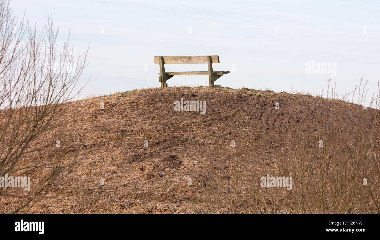 Wooden bench in a public park, the Netherlands Stock Photo - Alamy