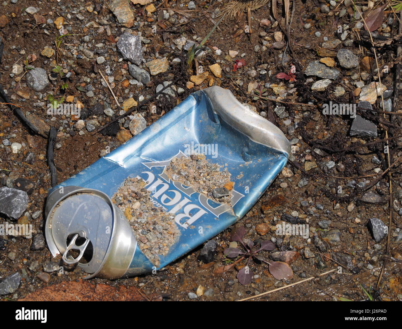 Blue beer can hi-res stock photography and images - Alamy