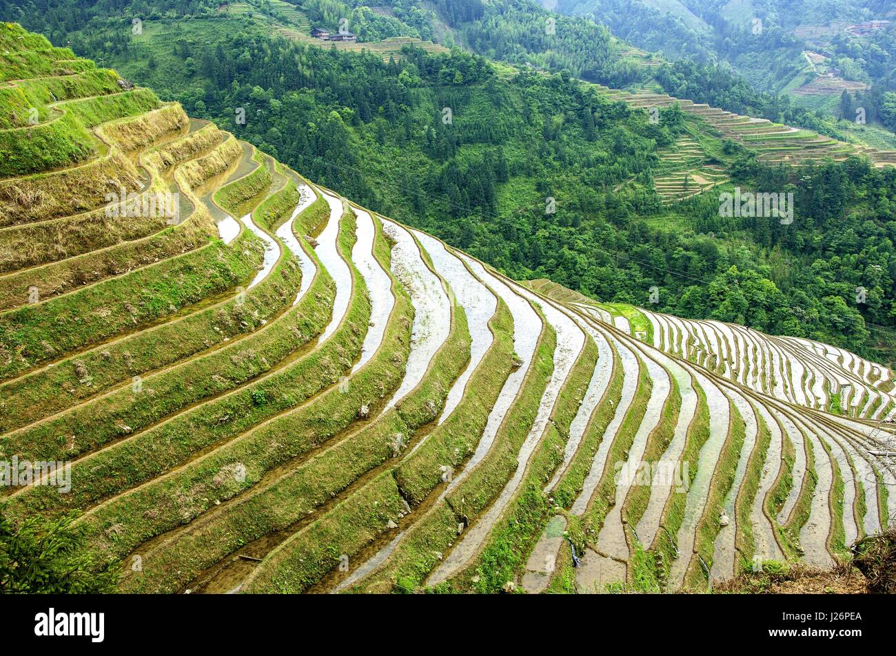 Terrace fields hi-res stock photography and images - Alamy