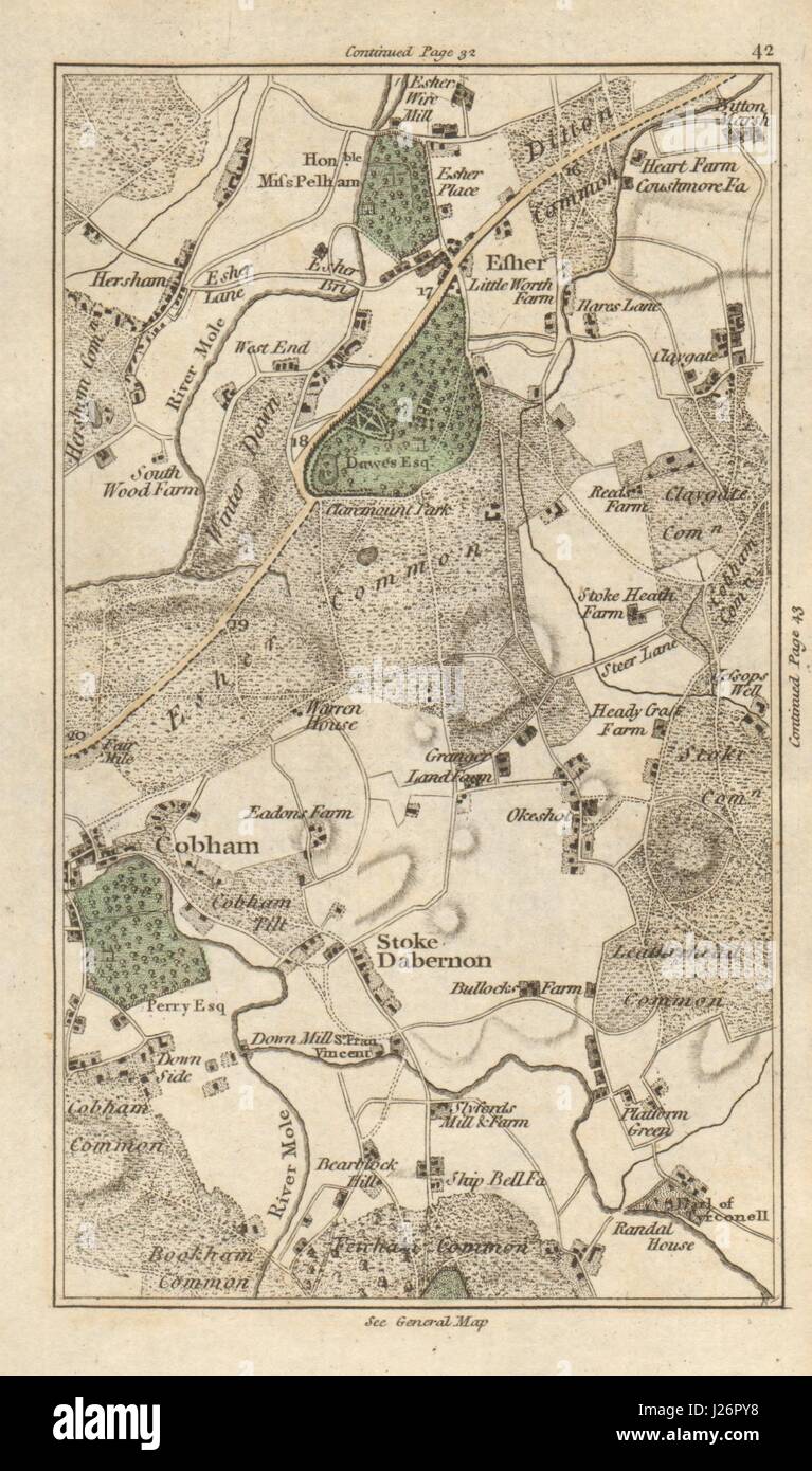 ESHER Cobham Walton-on-Thames Stoke D'abernon Bookham Leatherhead CARY ...