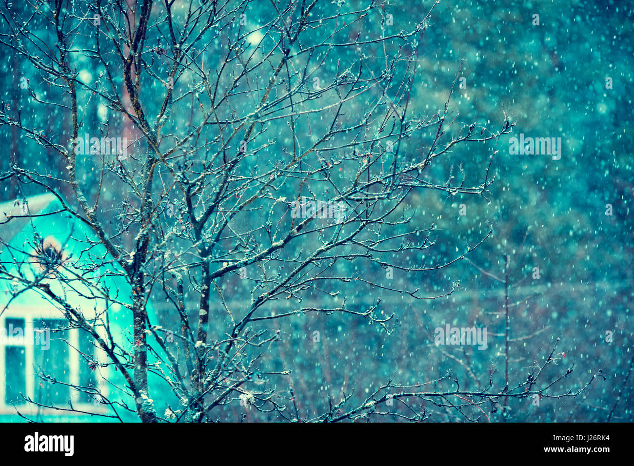 Pinewood Roof High Resolution Stock Photography and Images - Alamy