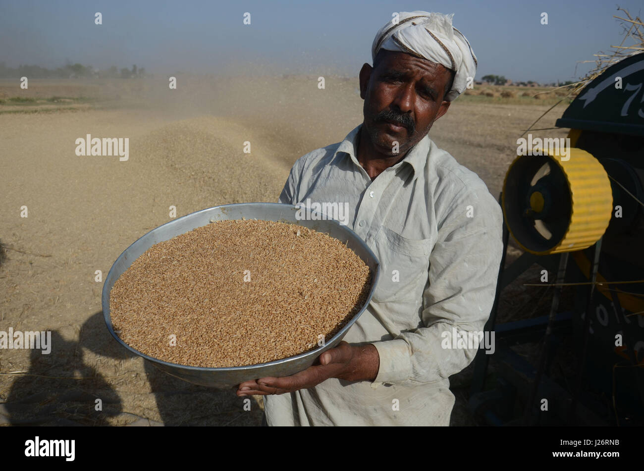 Pakistani villagers harvest wheat in a field on the outskirts of Lahore ...