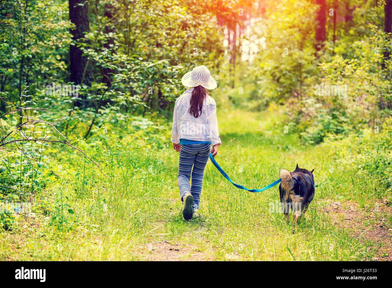 Little girl with dog walking in the forest back to camera Stock Photo ...