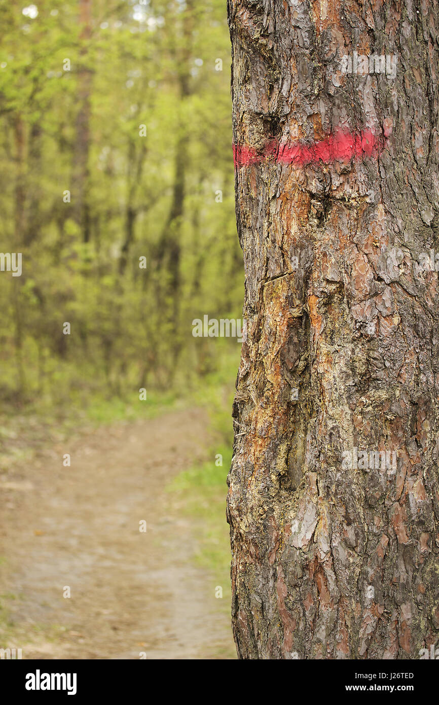 Chautauqua lake hi-res stock photography and images - Alamy