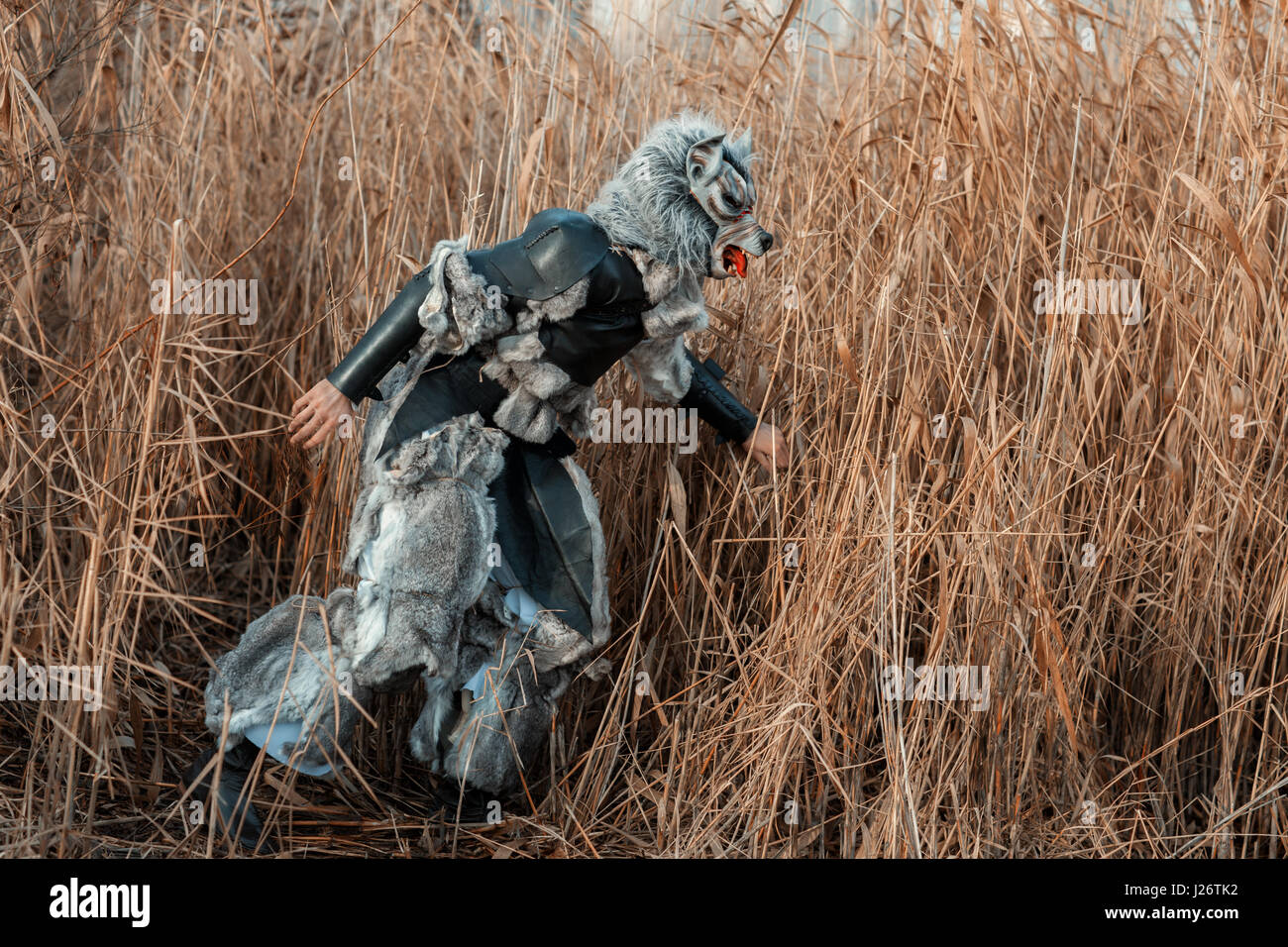Angry wolf face hi-res stock photography and images - Alamy