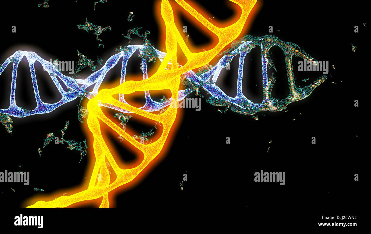 Chromosome DNA gene. 3D render macro. Background Stock Photo - Alamy