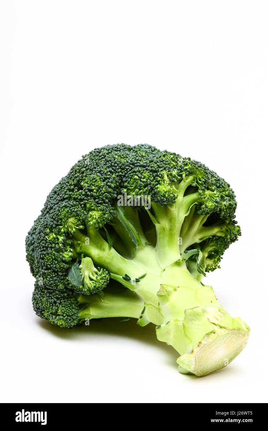 Uncooked organic broccoli isolated on a white background with space for ...