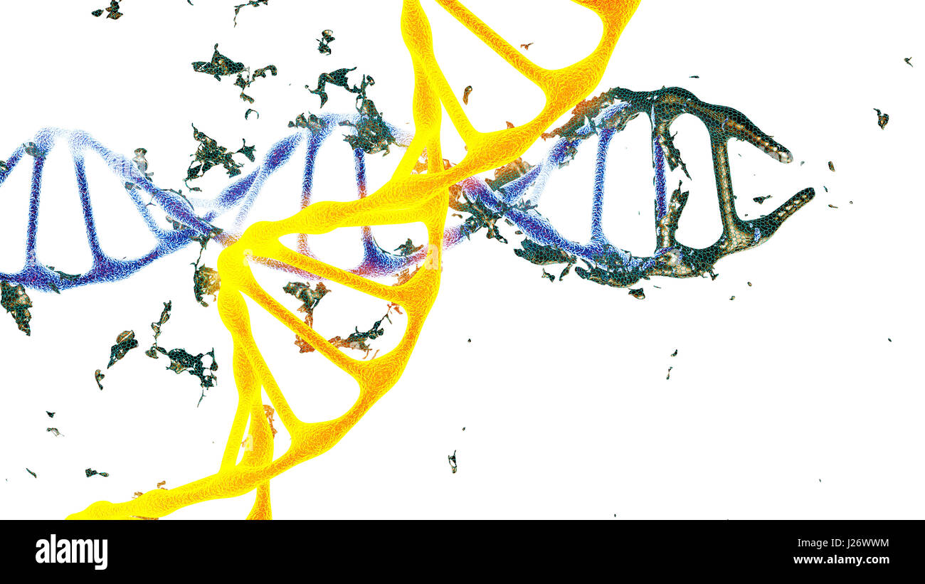 Chromosome DNA gene. 3D render isolated on white Stock Photo - Alamy