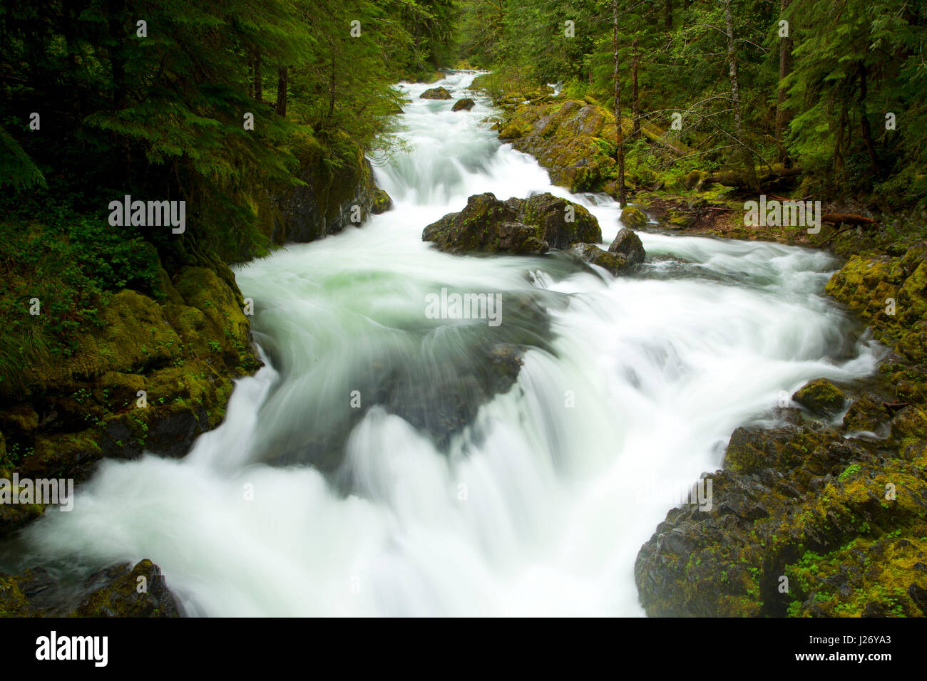 Opal Creek along Kopetski Trail at Opal Pool, Opal Creek Scenic ...