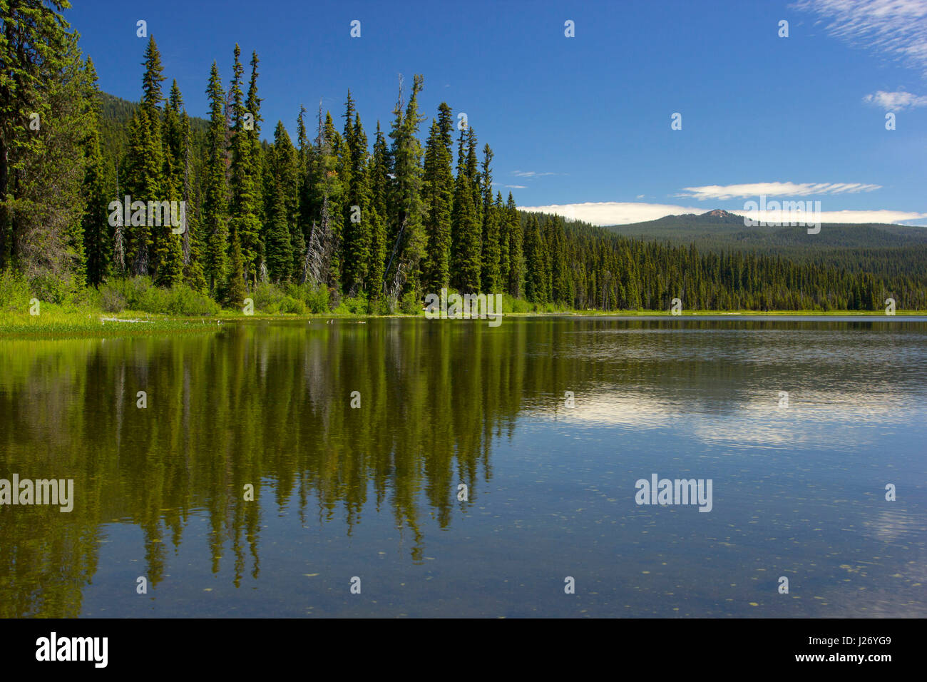 Gold lake hi-res stock photography and images - Alamy
