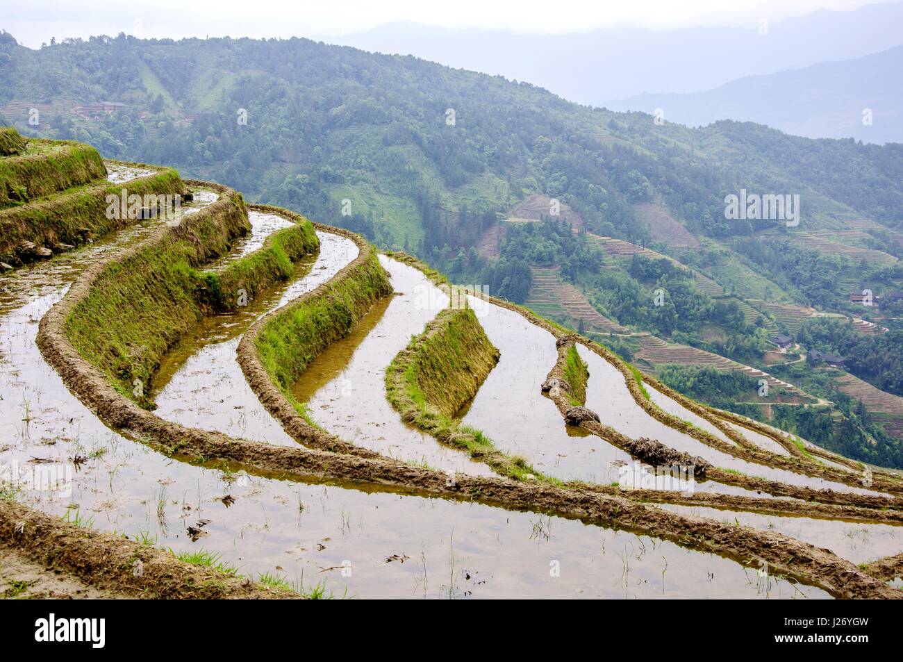 Beautiful rice terraced fields scenery in spring Stock Photo - Alamy