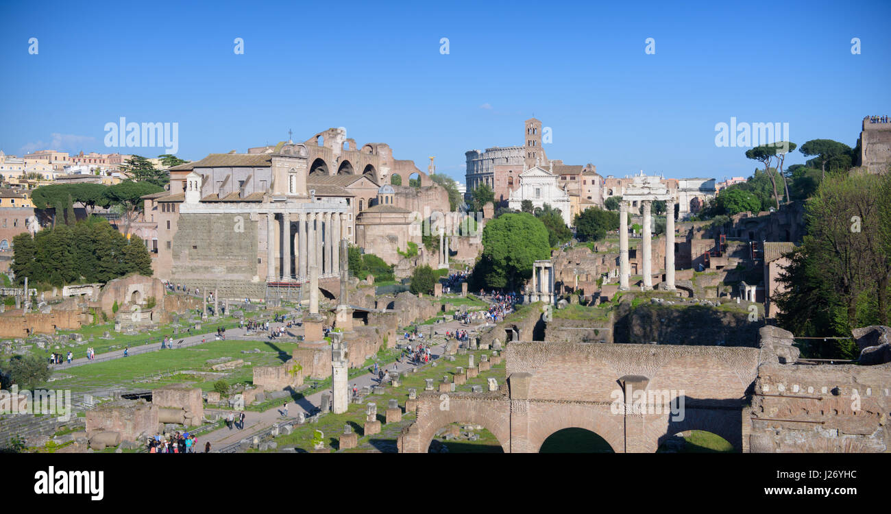 Rome, Roman forum view with clear blue sky, Colosseum monument in ...