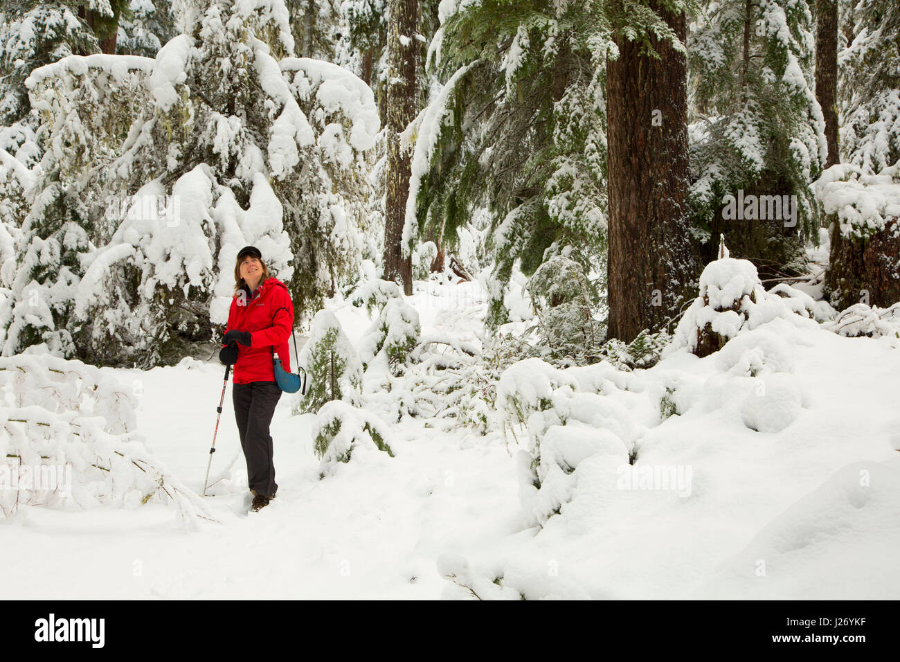 Hiking on Marion Lake Trail in snow, Willamette National Forest, Oregon ...