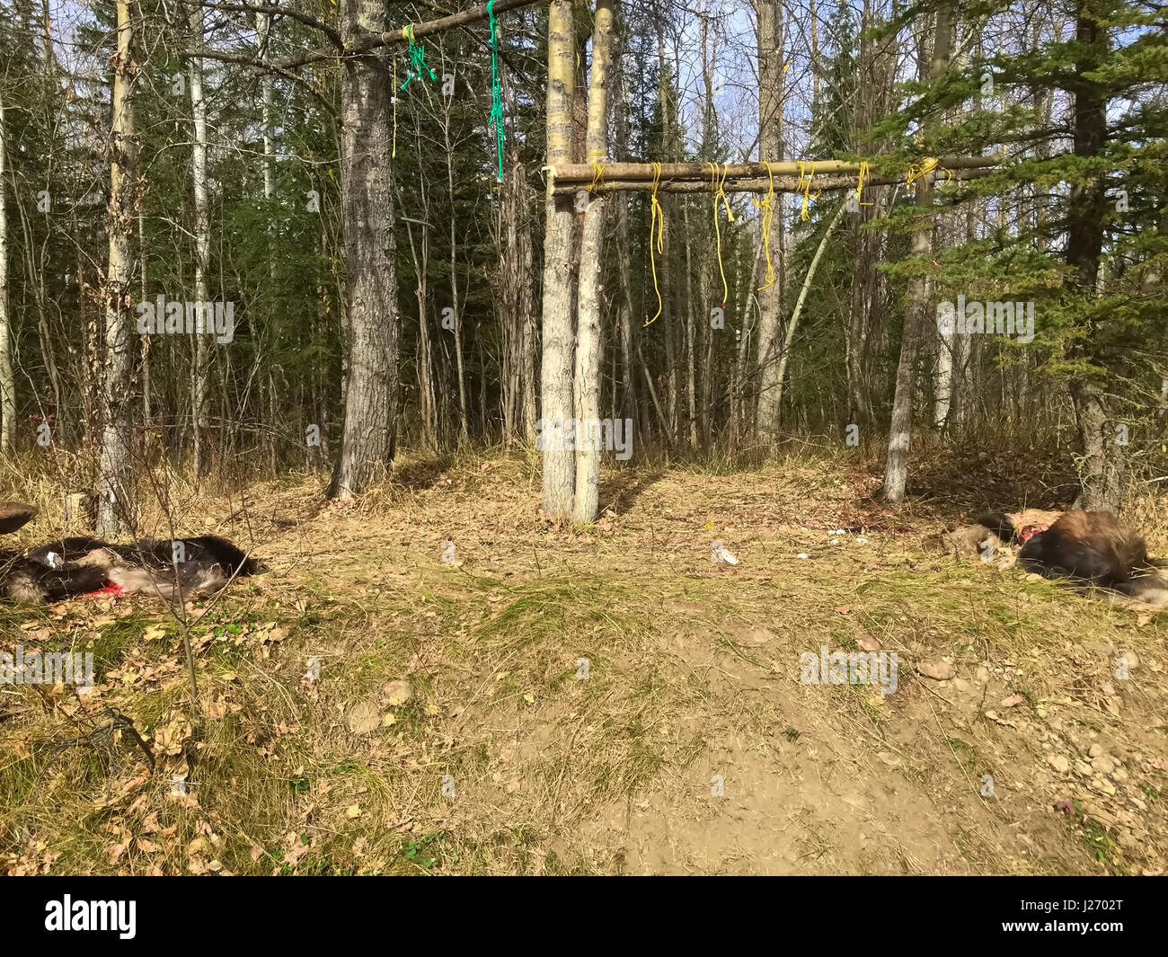 Hang Gun High Resolution Stock Photography and Images - Alamy