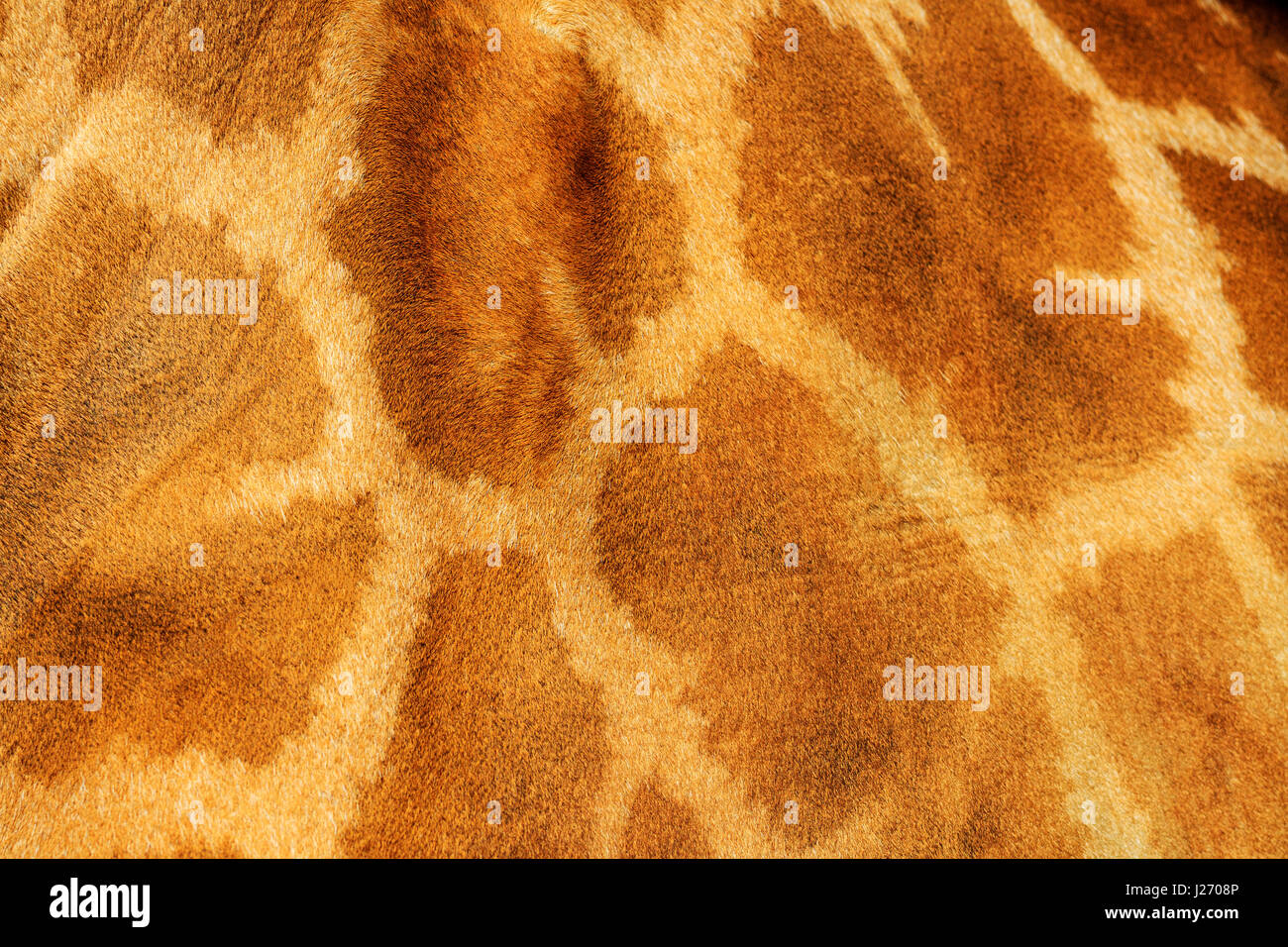 Skin with spots hi-res stock photography and images - Alamy
