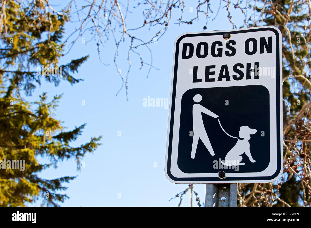 Dogs on leash sign in a public park Stock Photo - Alamy