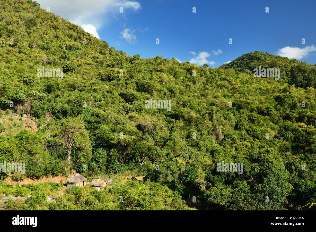 The trail for the highest peak on Cuba Pico Turquino being in a ...