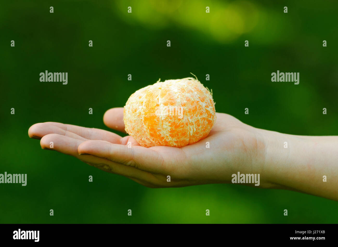 Ponkan hi-res stock photography and images - Alamy