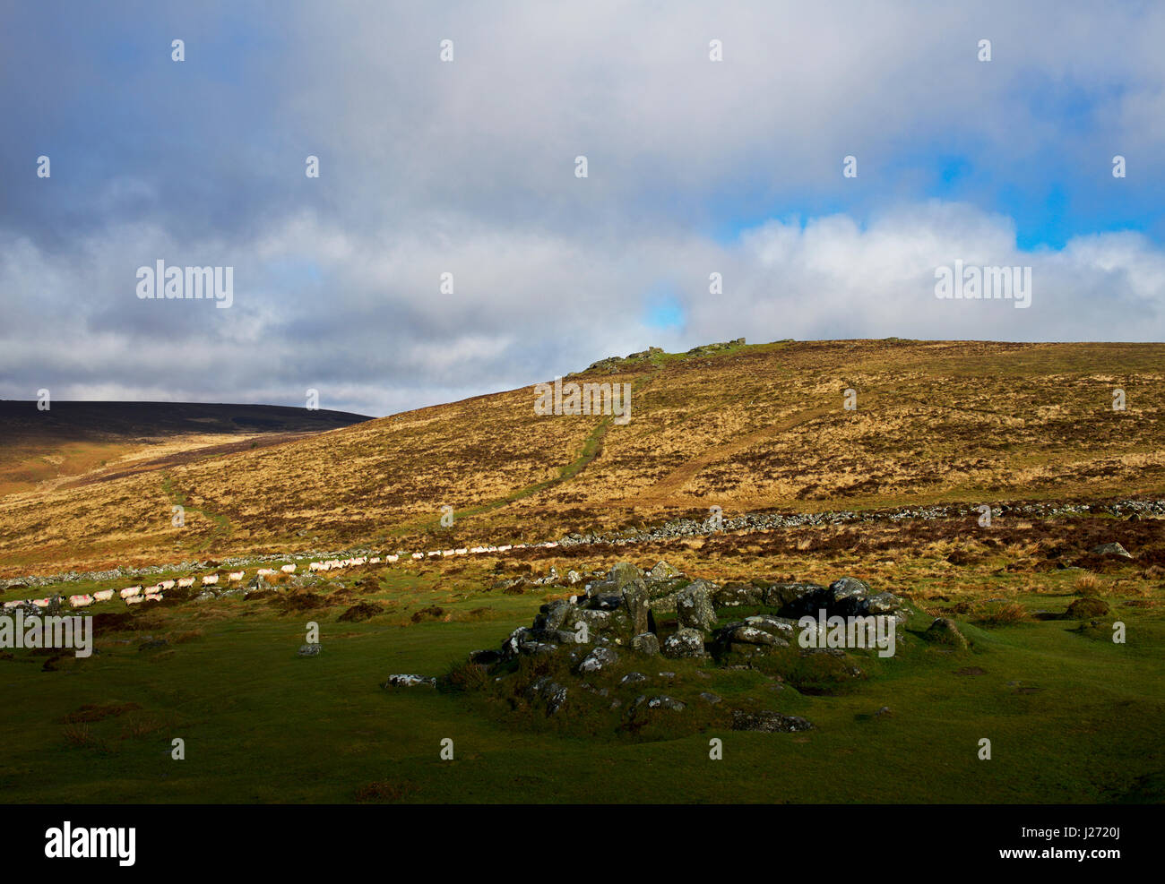 Grimspound, a Bronze Age Settlement on Dartmoor, Devon, England UK ...