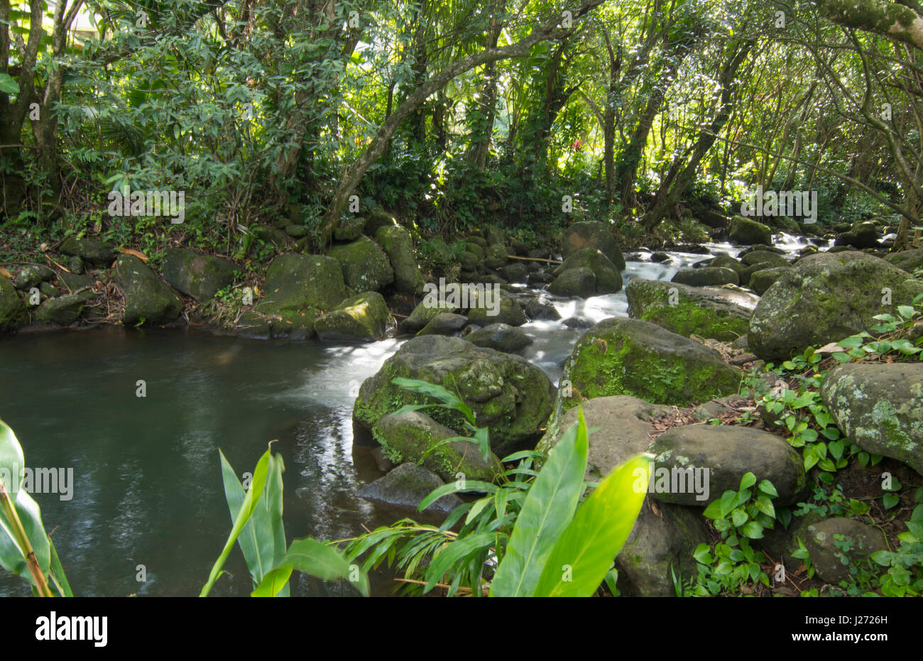 Haena Kauai Hawaii Haena State Park waterfall stream in rain forest ...